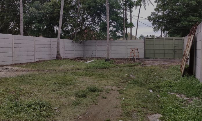 Daun Panel - ANEKA ALAM ABADI